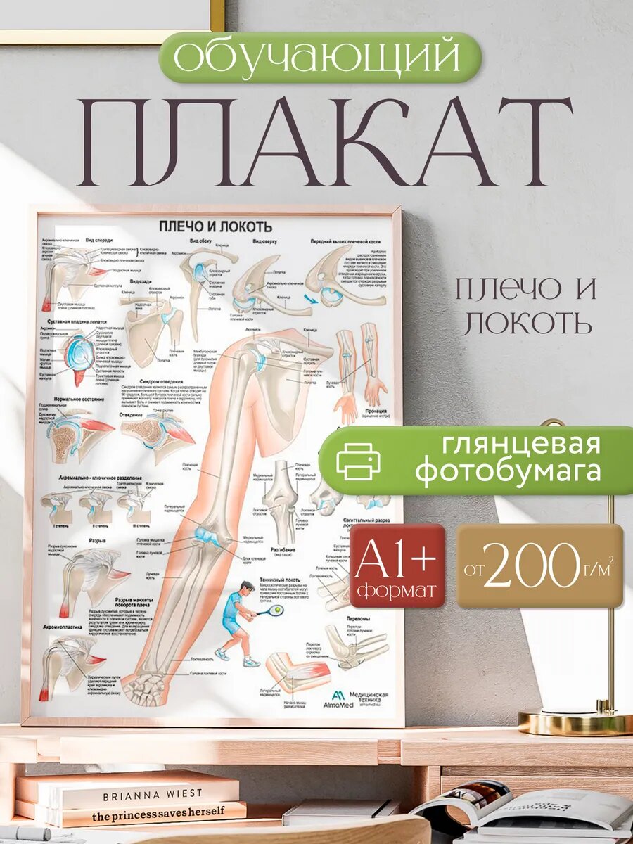 Плечо и локоть, плакат глянцевый А1+, плотная фотобумага от 200г/м2
