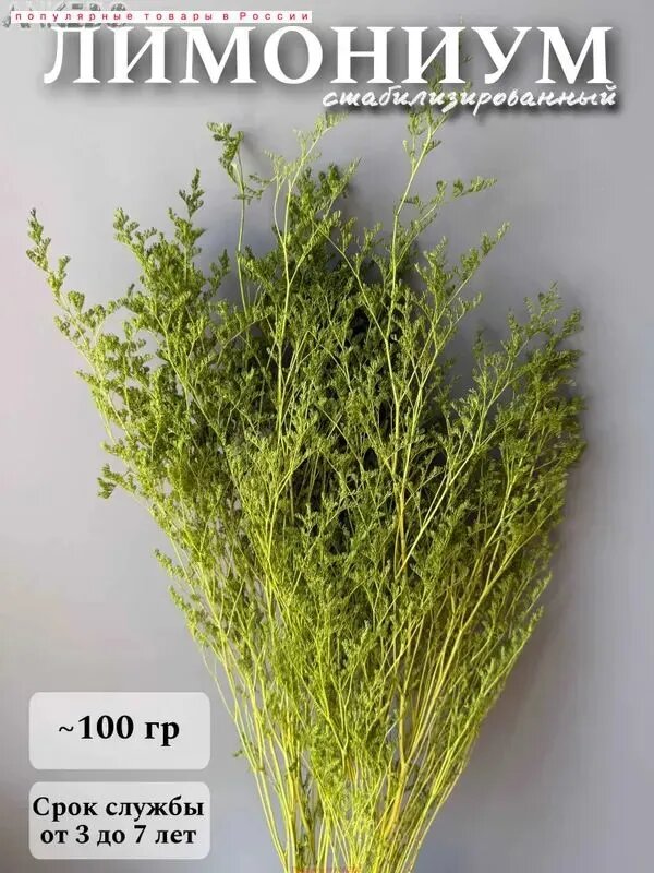 Стабилизированные цветы Анемона, 80 гр, 1 шт