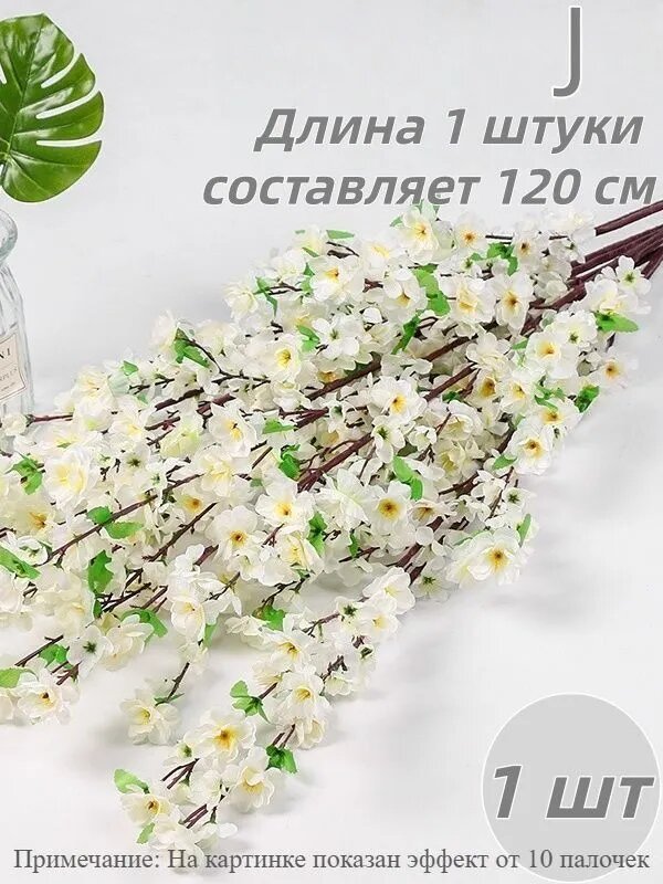 Стабилизированные цветы Сакура, 120 см, 60 гр