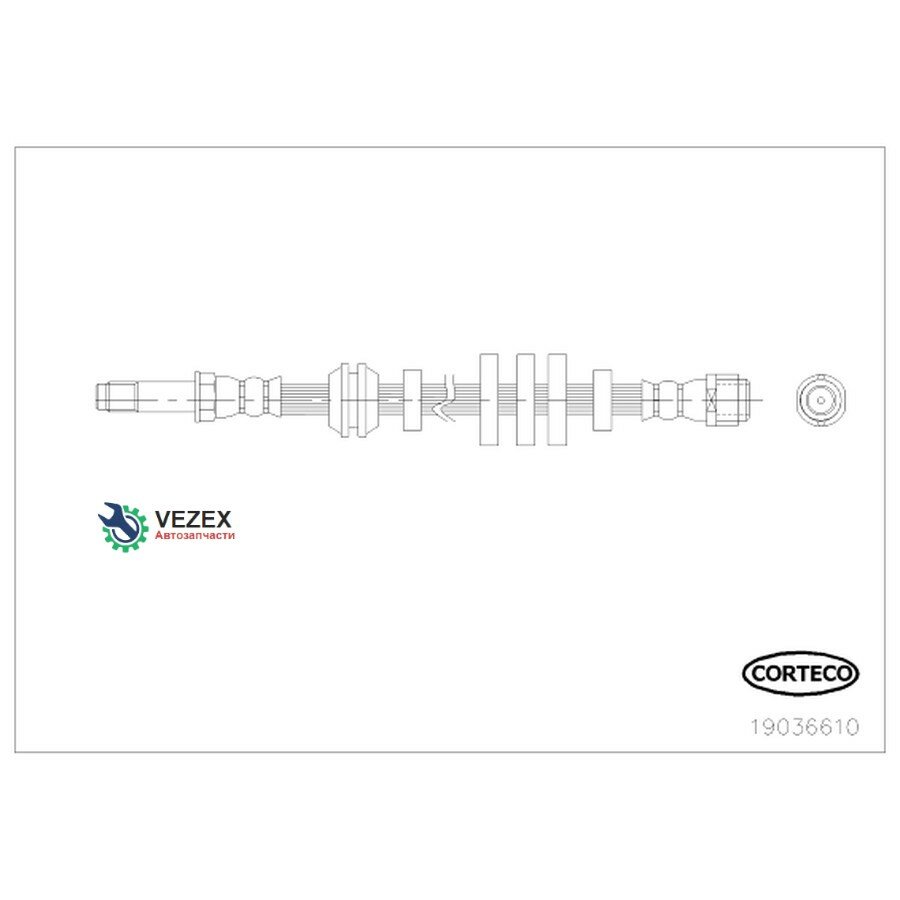 CORTECO 19036610 Шланг тормозной