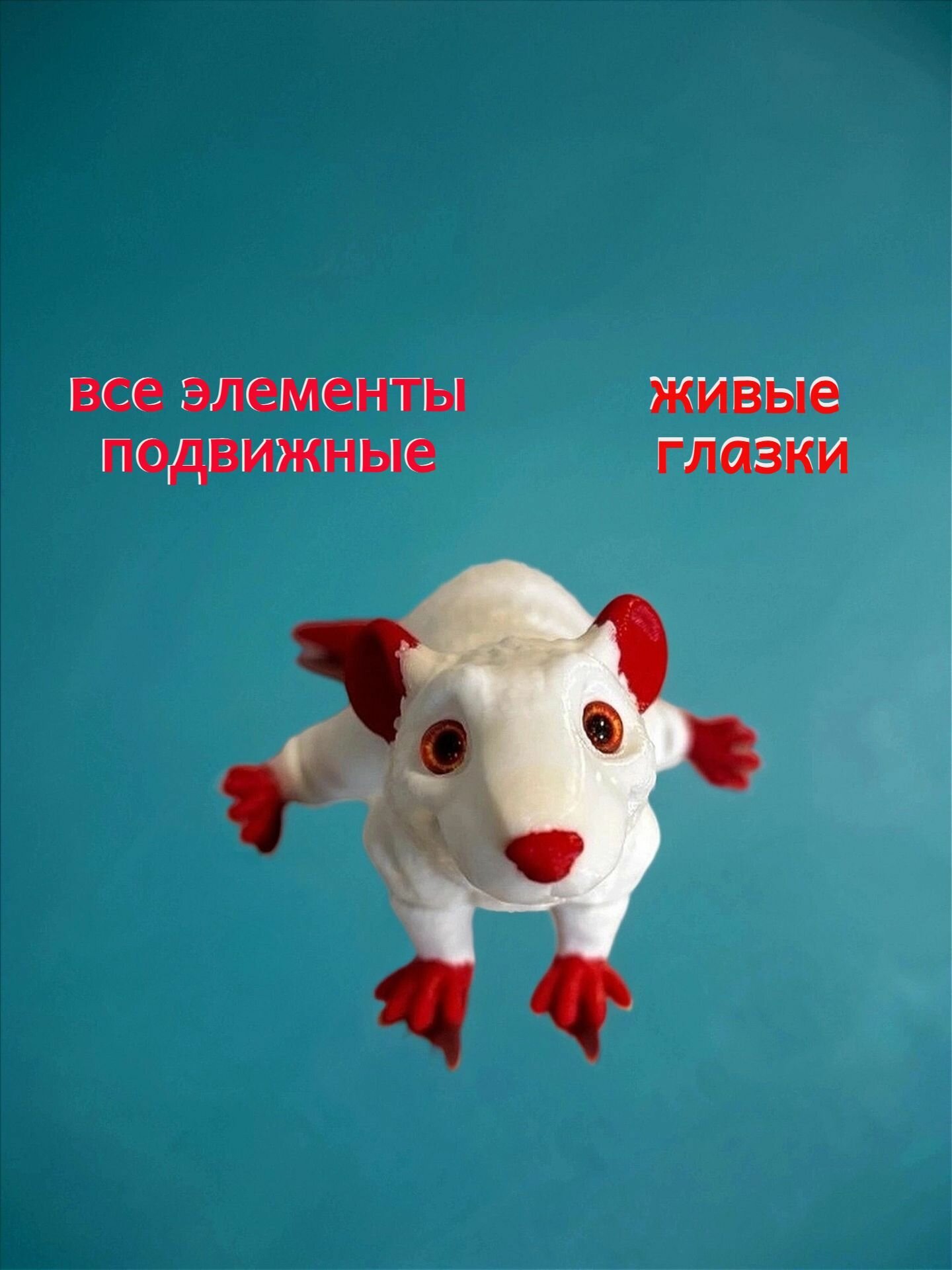 Крыса — фото 1