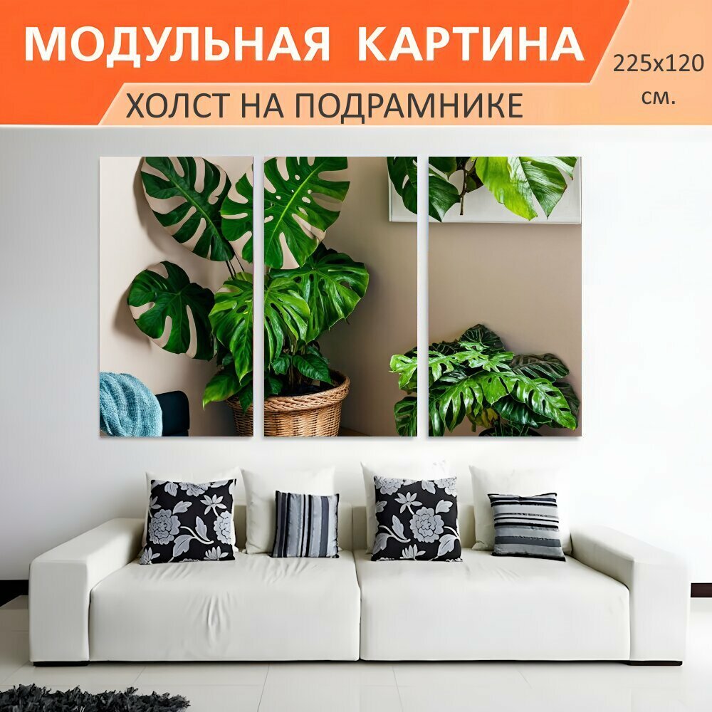 Модульная картина на холсте "Уютный уголок в интерьере с листьями монстеры" триптих на подрамнике 225х120 см. для интерьера