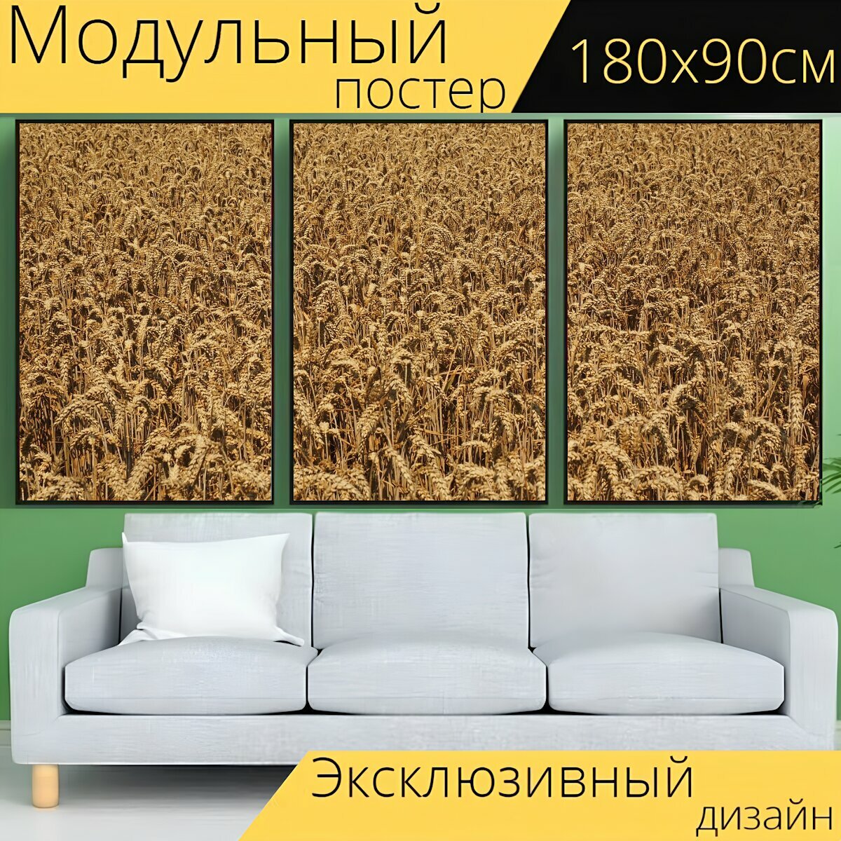 Модульный постер "Кукурузное поле, зерновое поле, пшеничное поле" 180 x 90 см. для интерьера на стену в тубусе