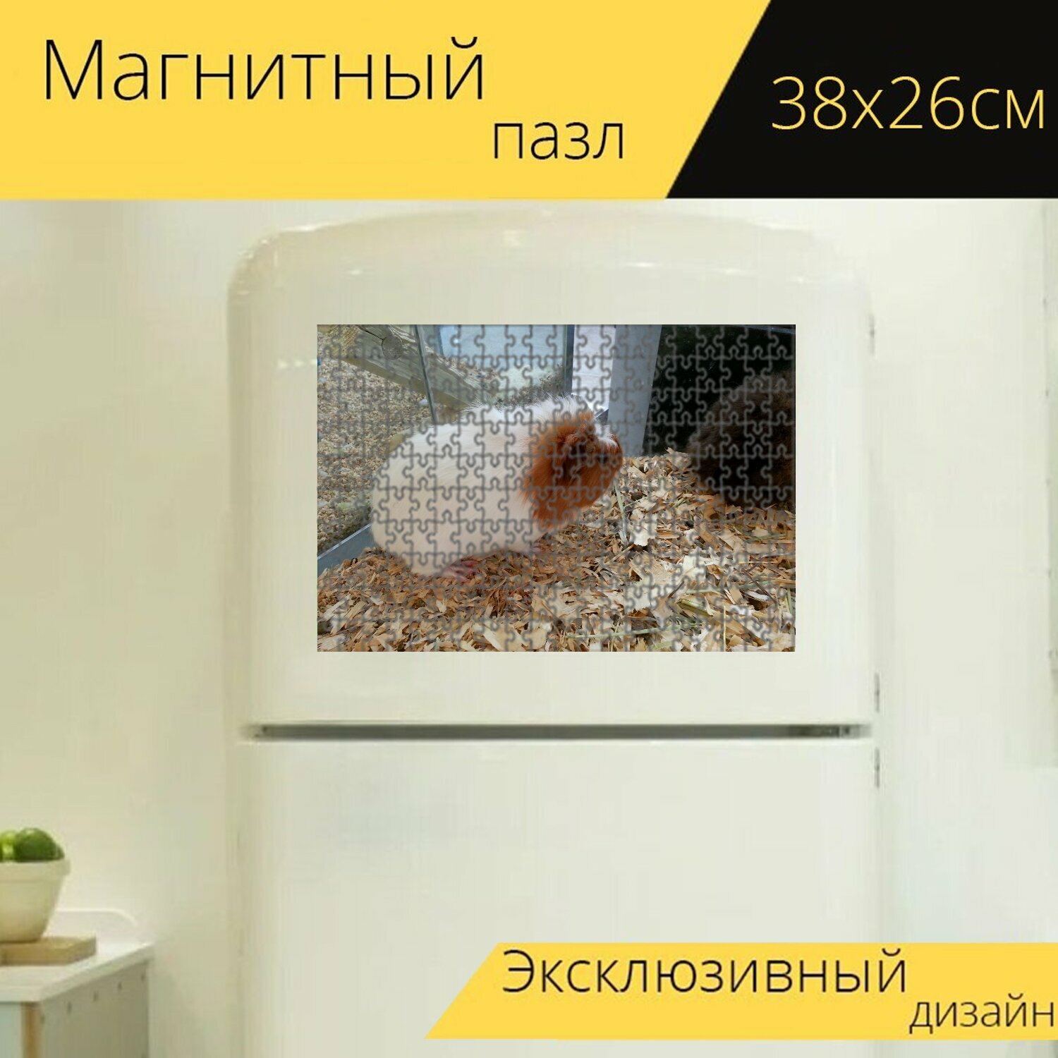 Магнитный пазл "Морская свинка Морская свинка в зоомагазине морская свинка животных домашних животных зоомагазин" для интерьера, 38х26 см.