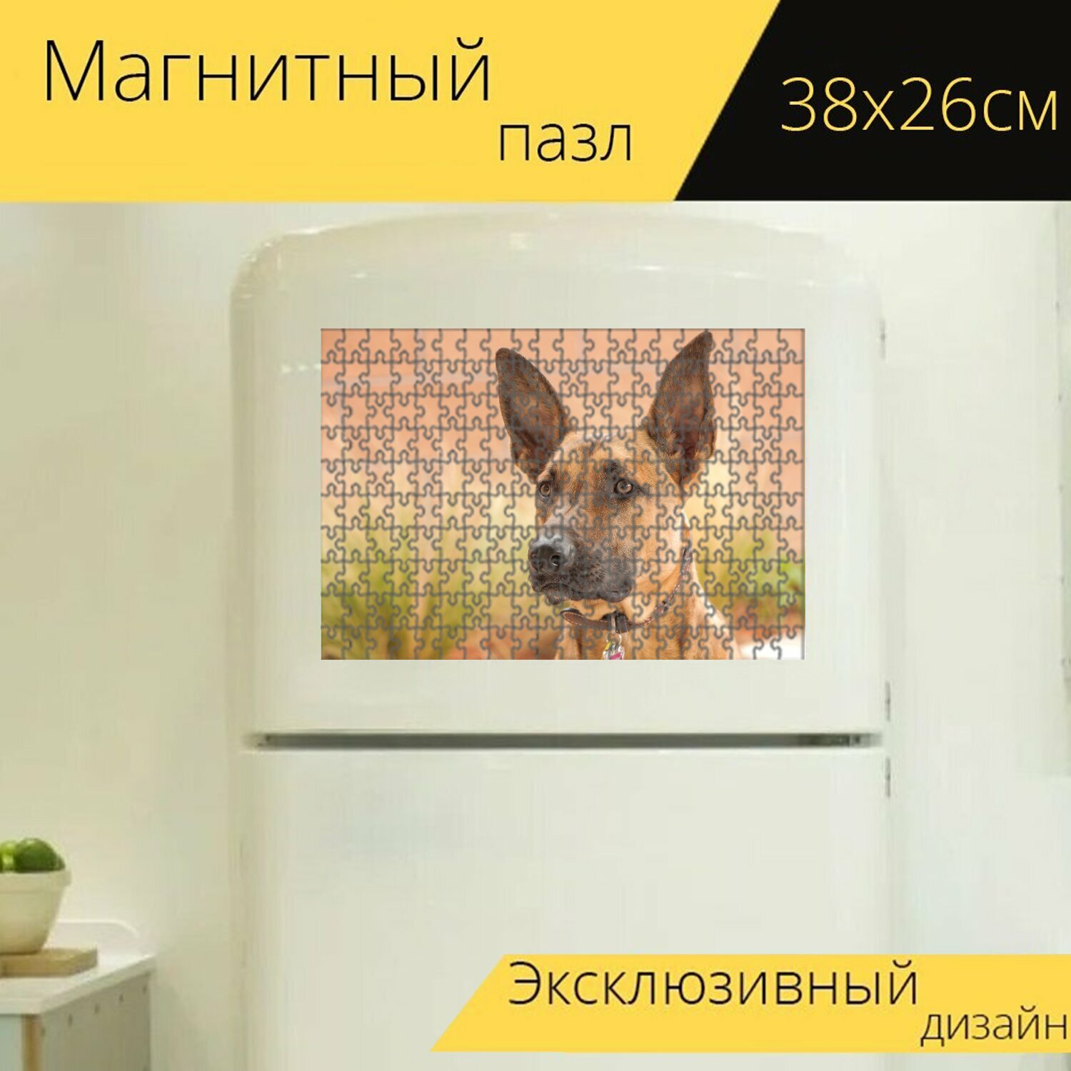Магнитный пазл "Малинуа, собака, бельгийский малинуа" для интерьера, 38х26 см.