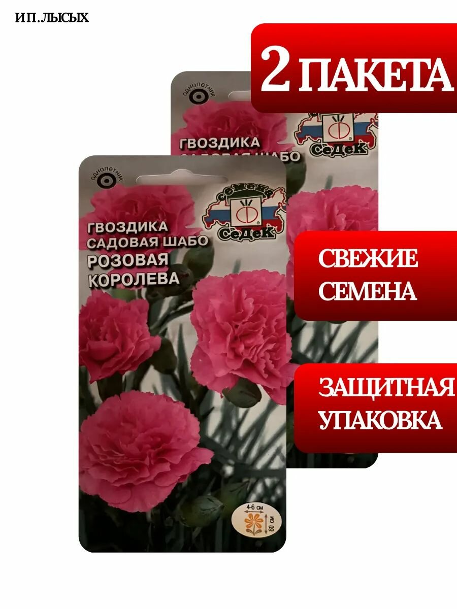 Семена Гвоздика "Розовая Королева"