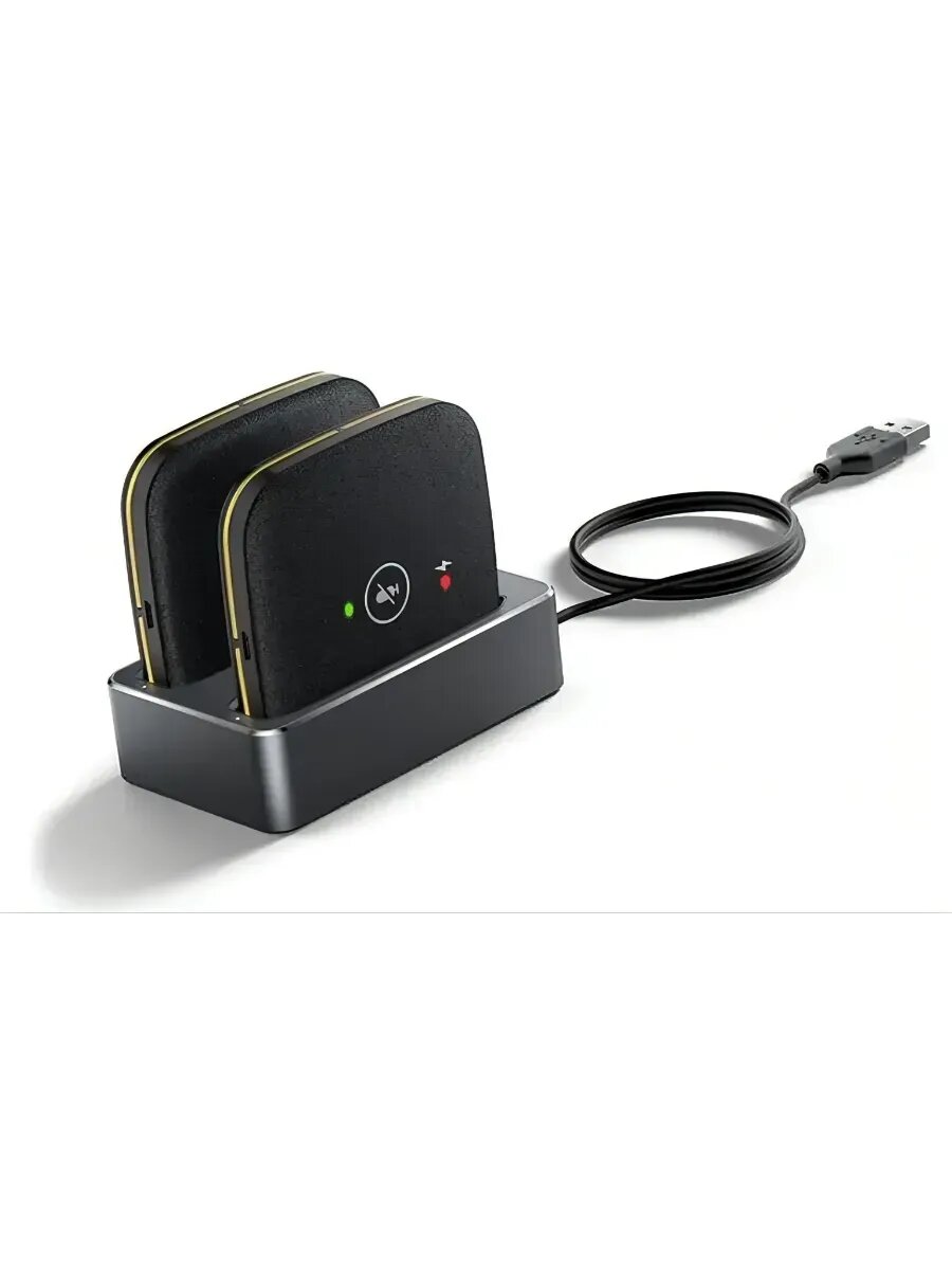 Дополнительные беспроводные DECT-микрофоны 2шт