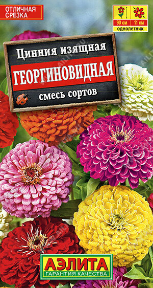 Семена цветов аэлита "Цинния георгиновидная", однолетние, смесь сортов, высота 80-90см