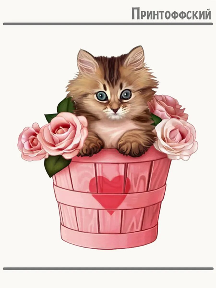 Термонаклейка для одежды и аксессуаров DTF-печать cat котенок в розовых розах pink rose