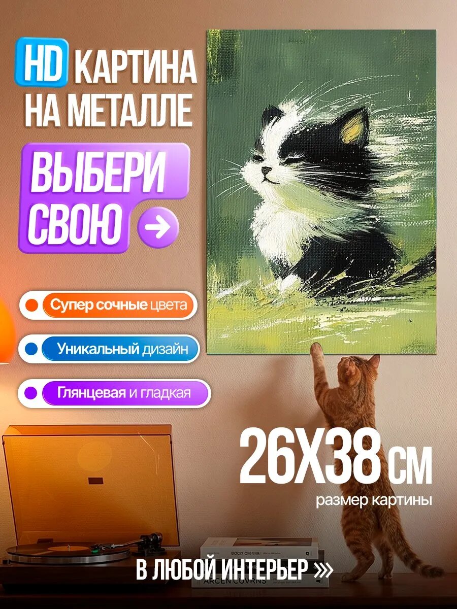 Картина на HD металле Черно-белый кот