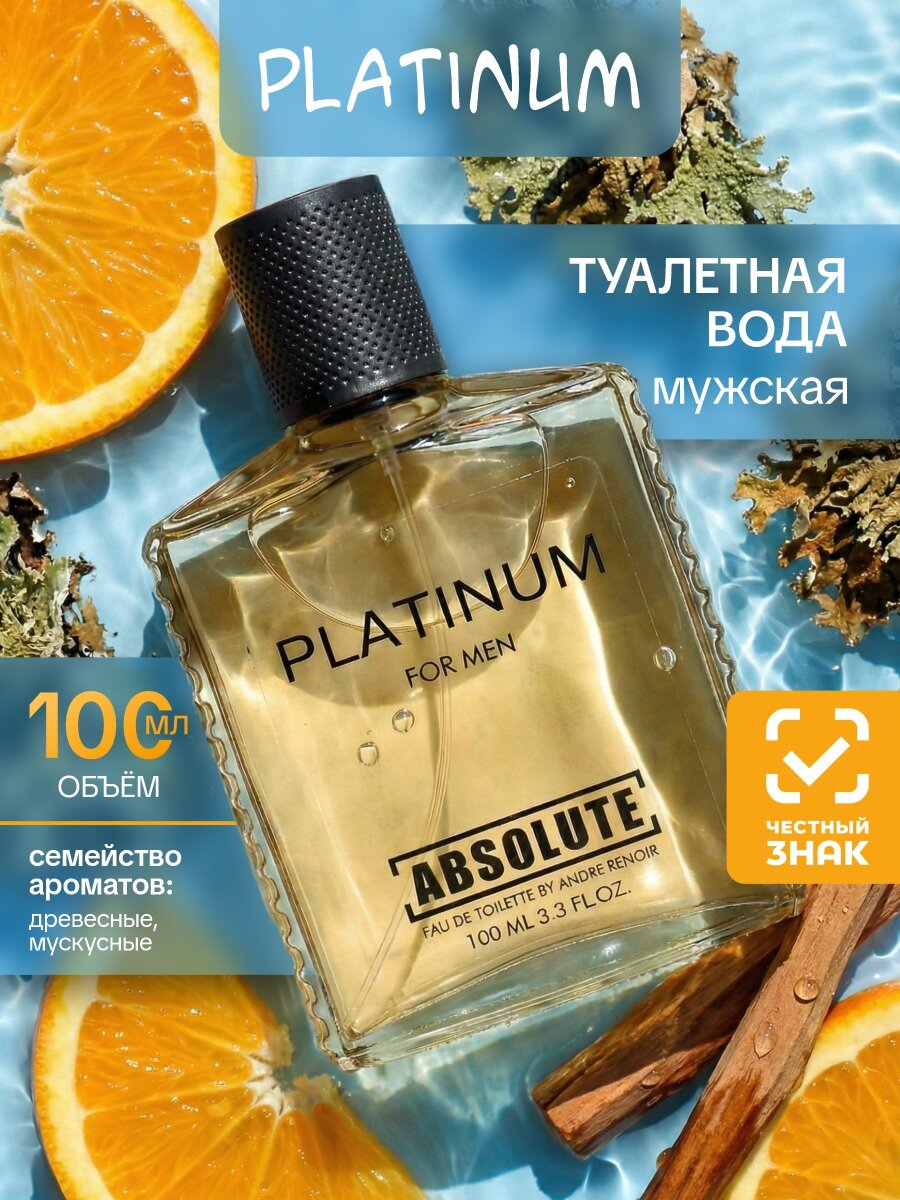 Туалетная вода Today Parfum Absolute Platinum, мужская, древесно-мускусная, 100 мл