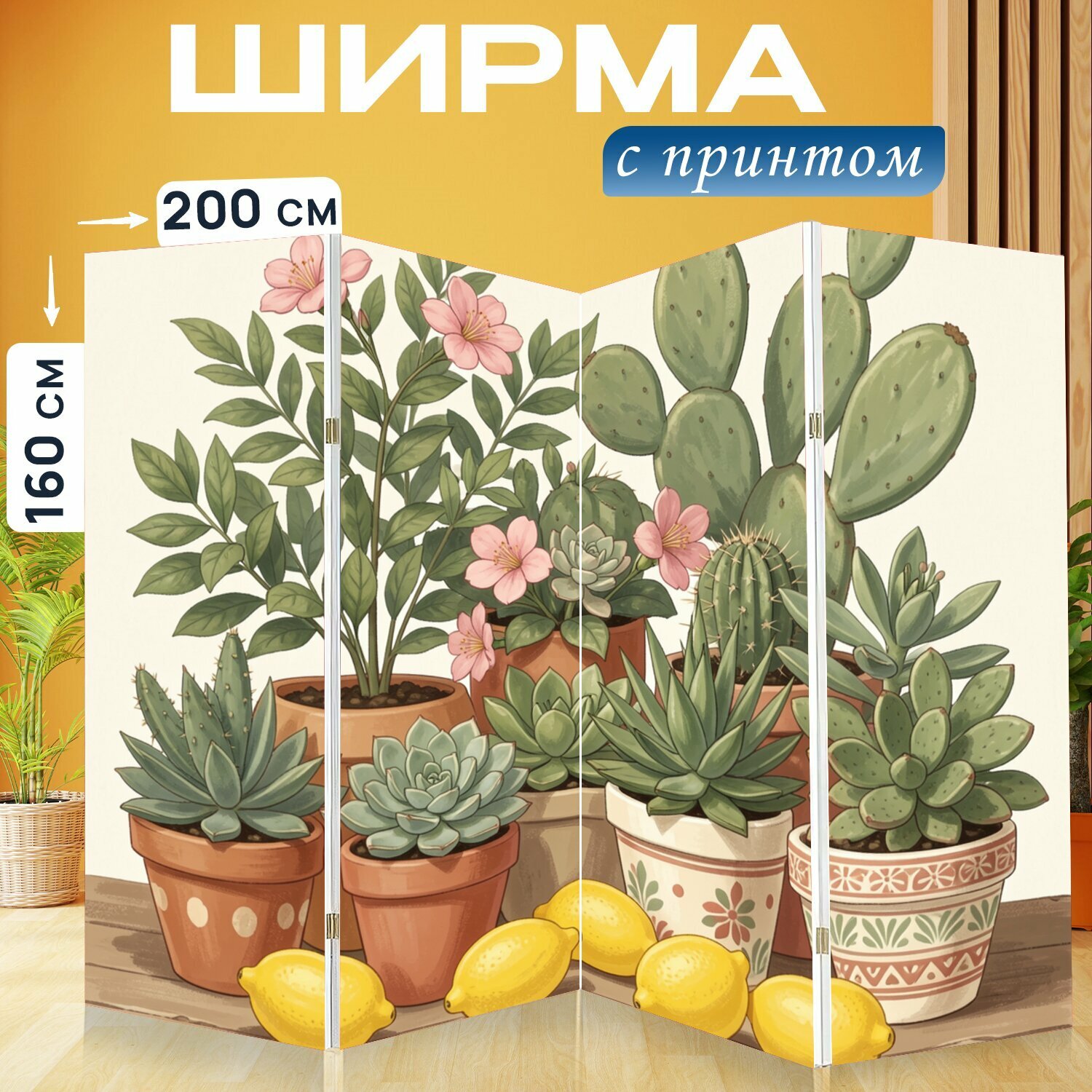 Ширма "Композиция с кактусами и суккулентами. Ботаническая иллюстрация комнатных растений в керамических." перегородка для зонирования комнаты с принтом 200x160 см. на холсте