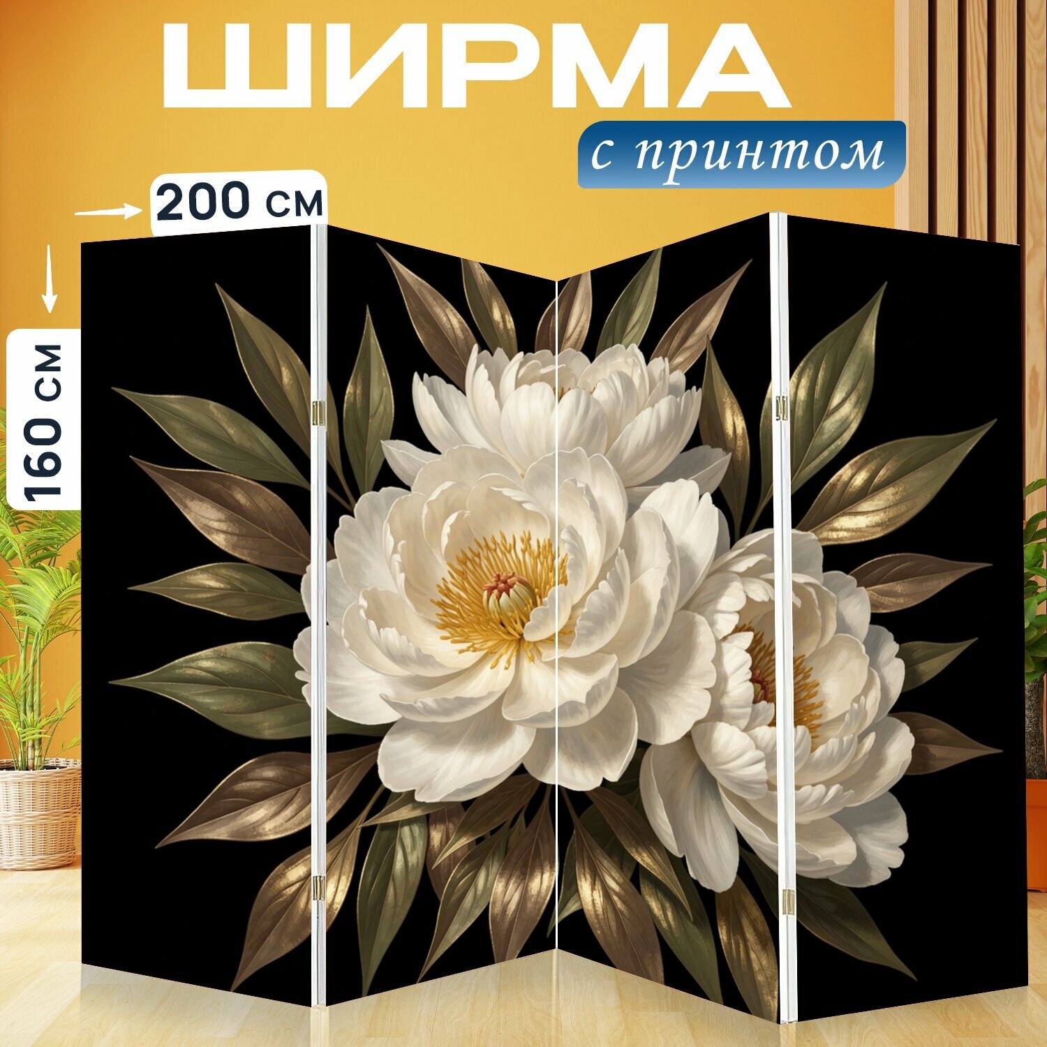 Ширма "Белые пионы на черном фоне. Элегантная цветочная композиция с крупными кремовыми бутонами, золотистыми." перегородка для зонирования комнаты с принтом 200x160 см. на холсте