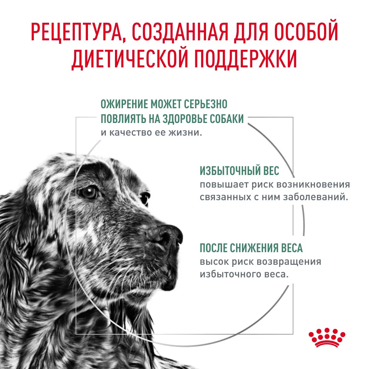Сухой ветеринарный корм Royal Canin Satiety Weight Management для крупных собак, снижение веса,1,5 кг