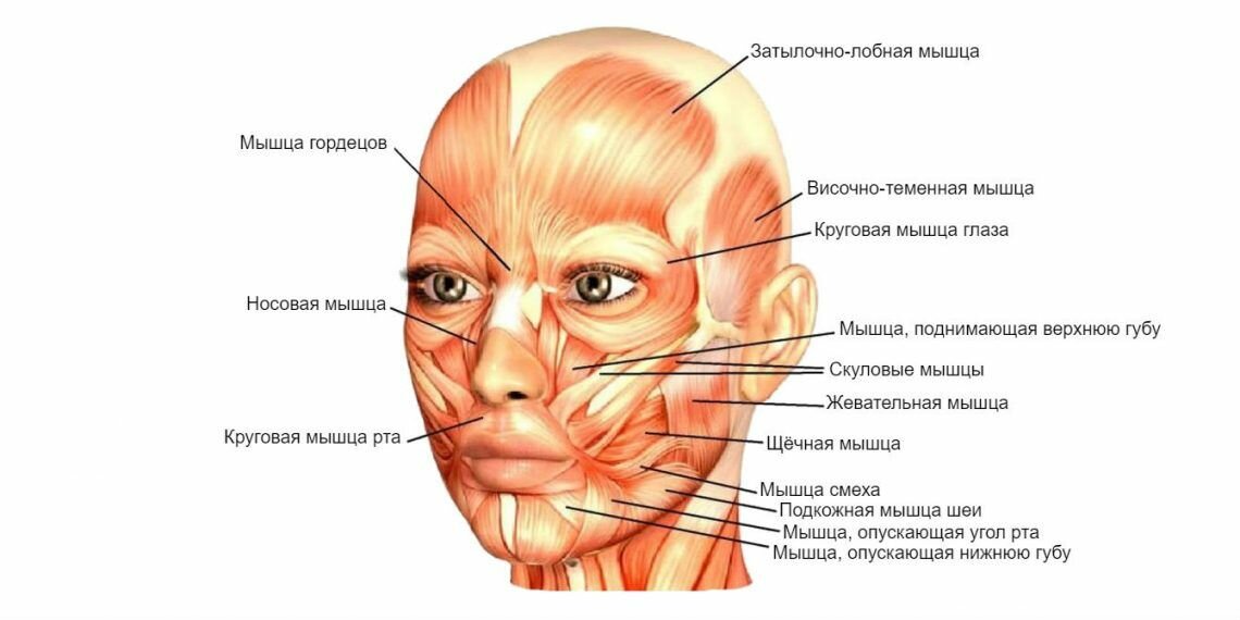 Масло для лица