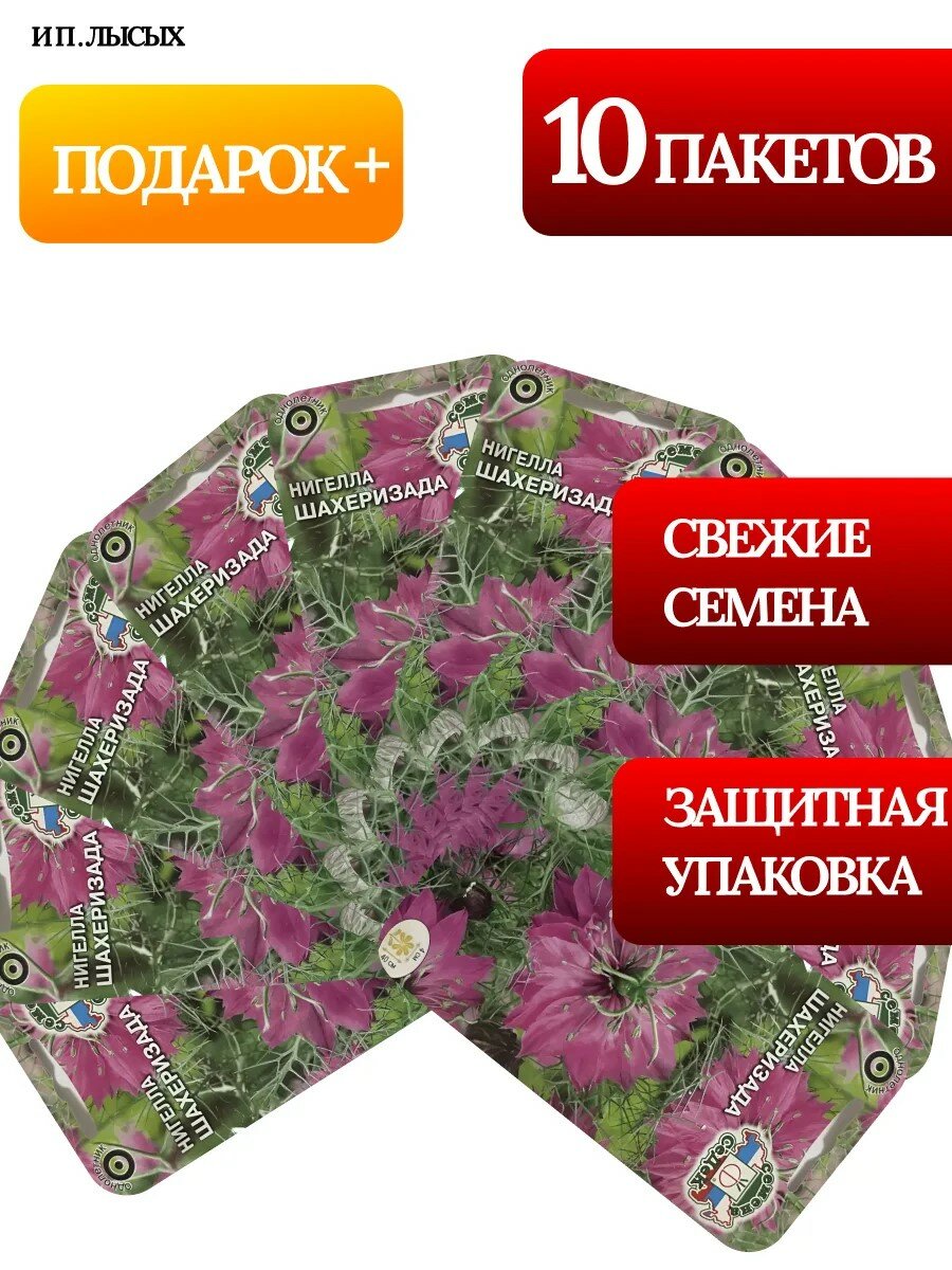 Семена Нигелла "Шахеризада"