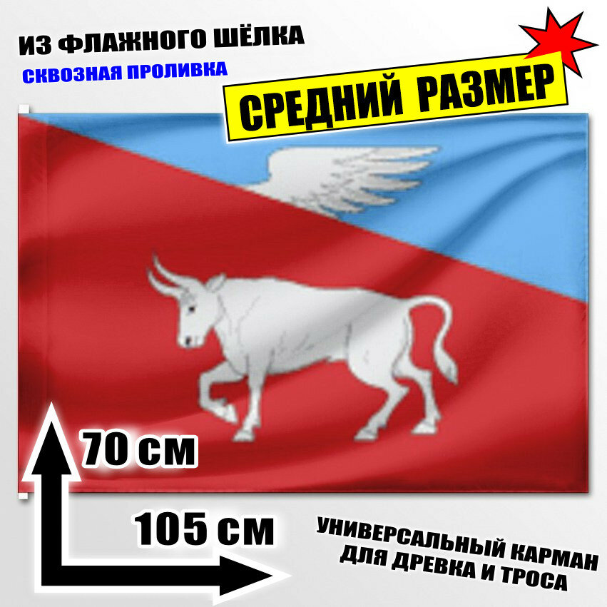 Флаг средний Быкова (Московская область) 105x70 см