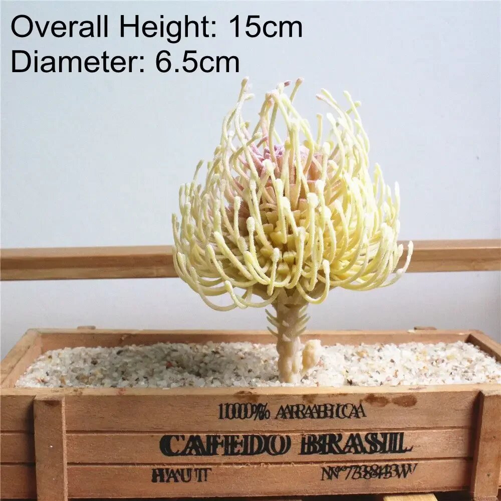 Искусственный суккулент Yu Die Hua 15см, BONSAI