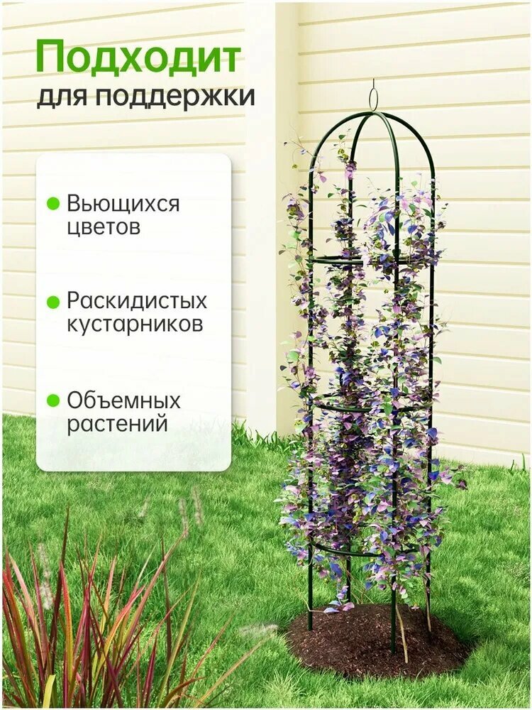 Шпалера,40см — фото 1