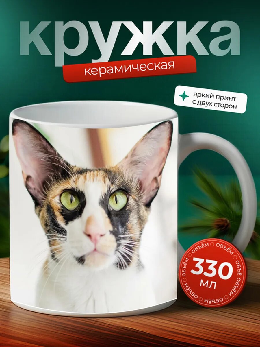 Кружка Ангорский полосатый кот 59,