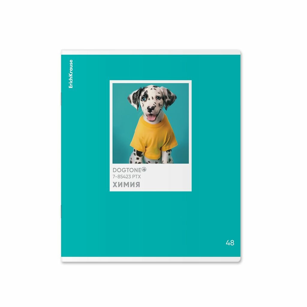 Тетрадь предметная химия 48 листов Erich Krause "DogTone", в клетку