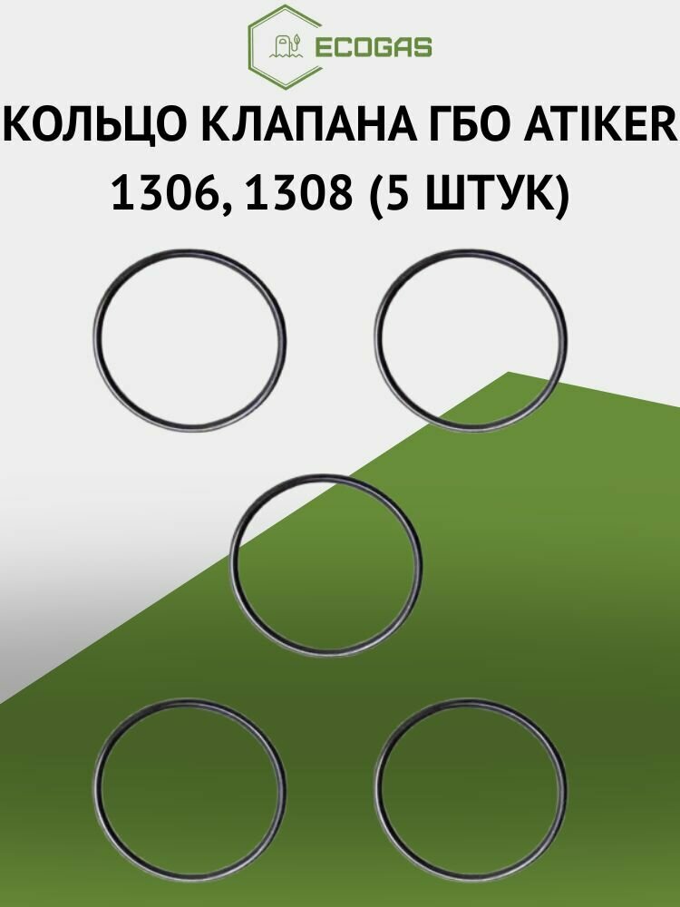 Кольцо газового клапана ГБО ATIKER 1306, 1308 (5 штук)
