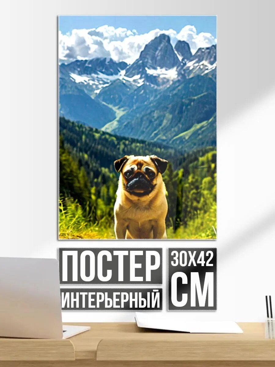 Постер на стену Мопс в летних горах