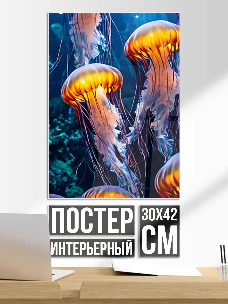 Постер на стену Медузы