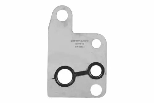 Прокладка насоса вакуумного 1103683 Ford Transit 2.4DI 00> Z17719 ZENTPARTS