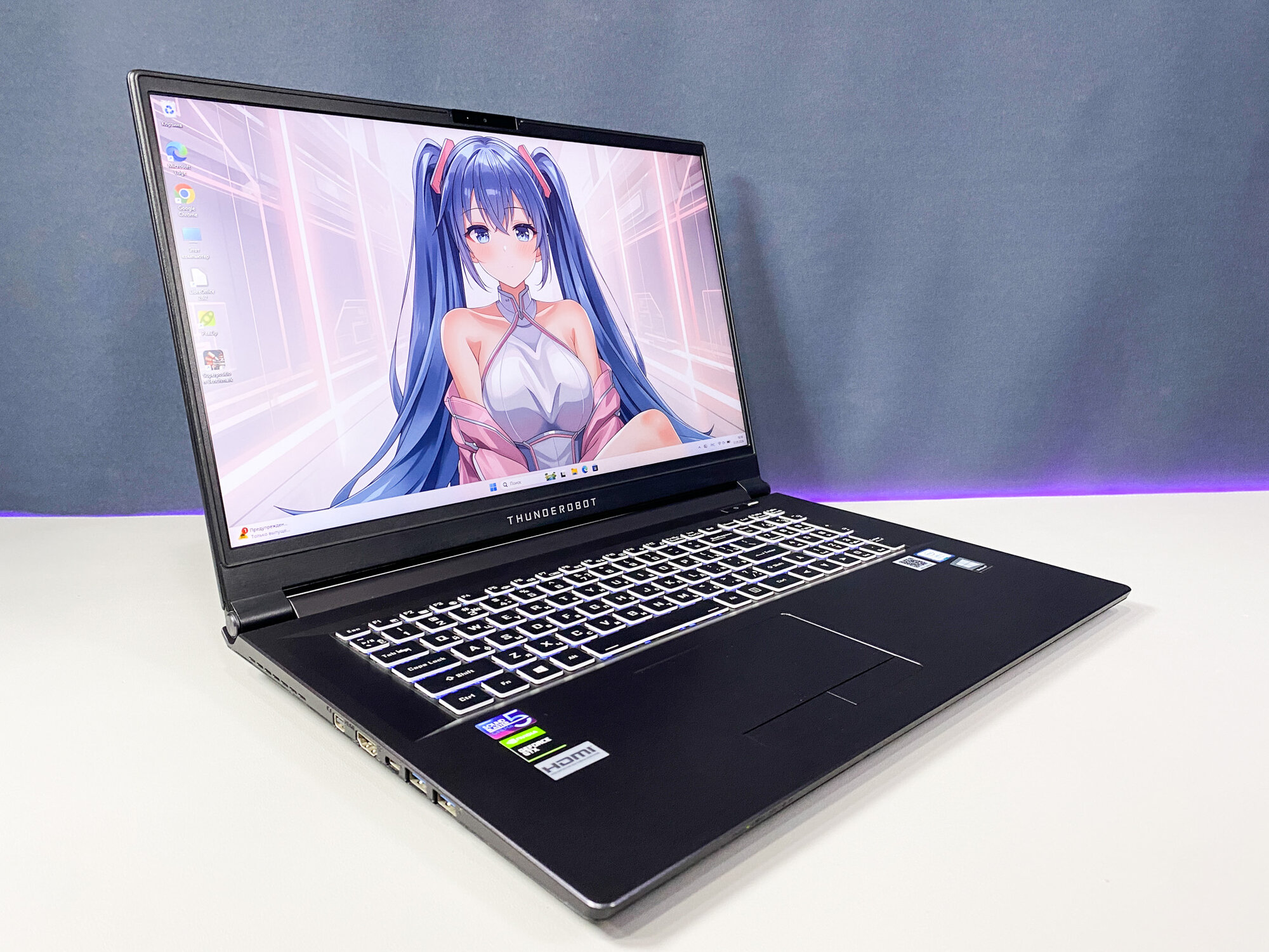 Игровой Ноутбук Thunderobot 17.3"/Intel Core i5-9400 6/6*2.90-4.10GHz/GTX 1650/12Gb/SSD256Gb
