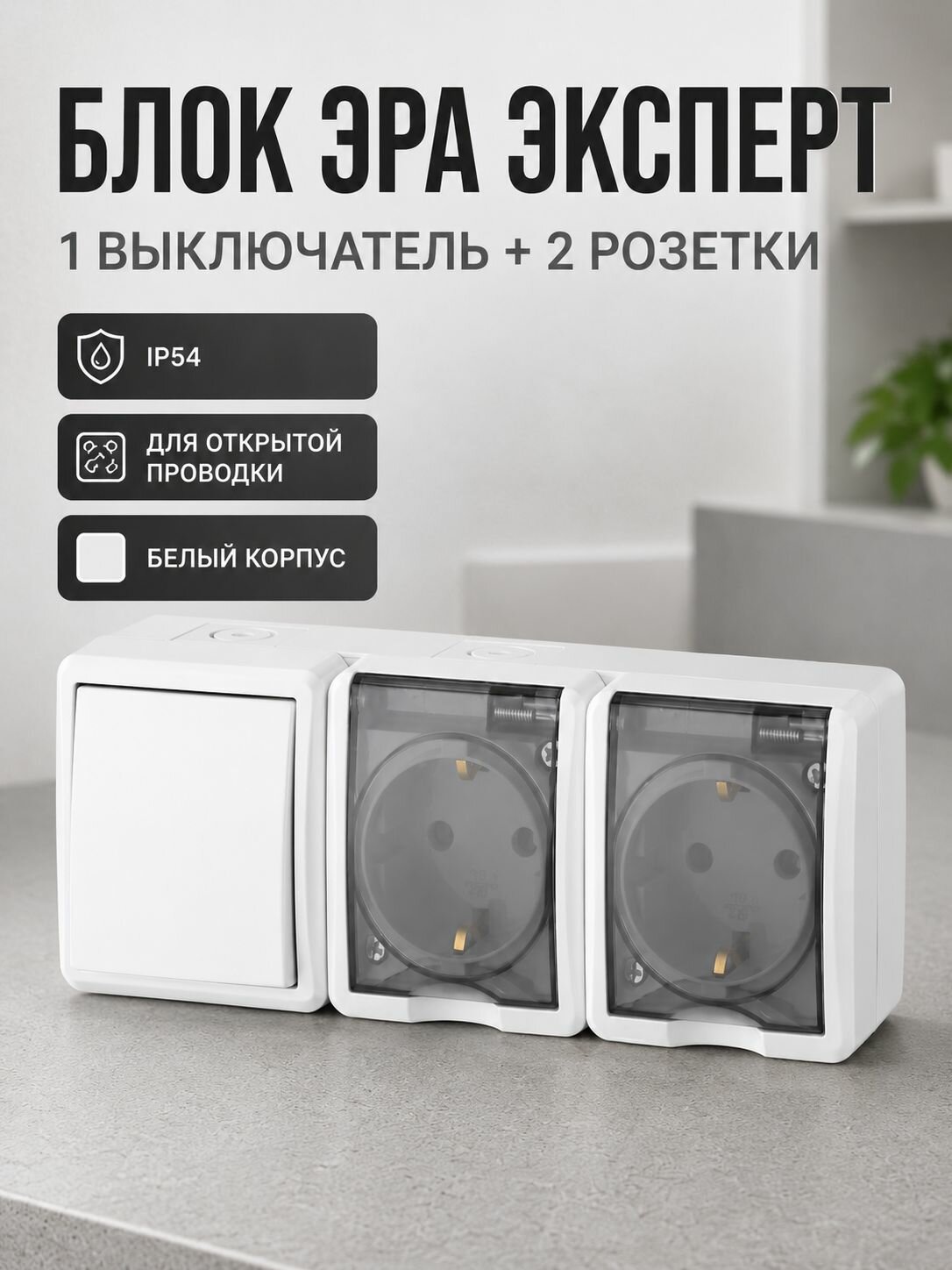 Блок с выключателем и двумя розетками влагозащищенный IP54 Эксперт ЭРА