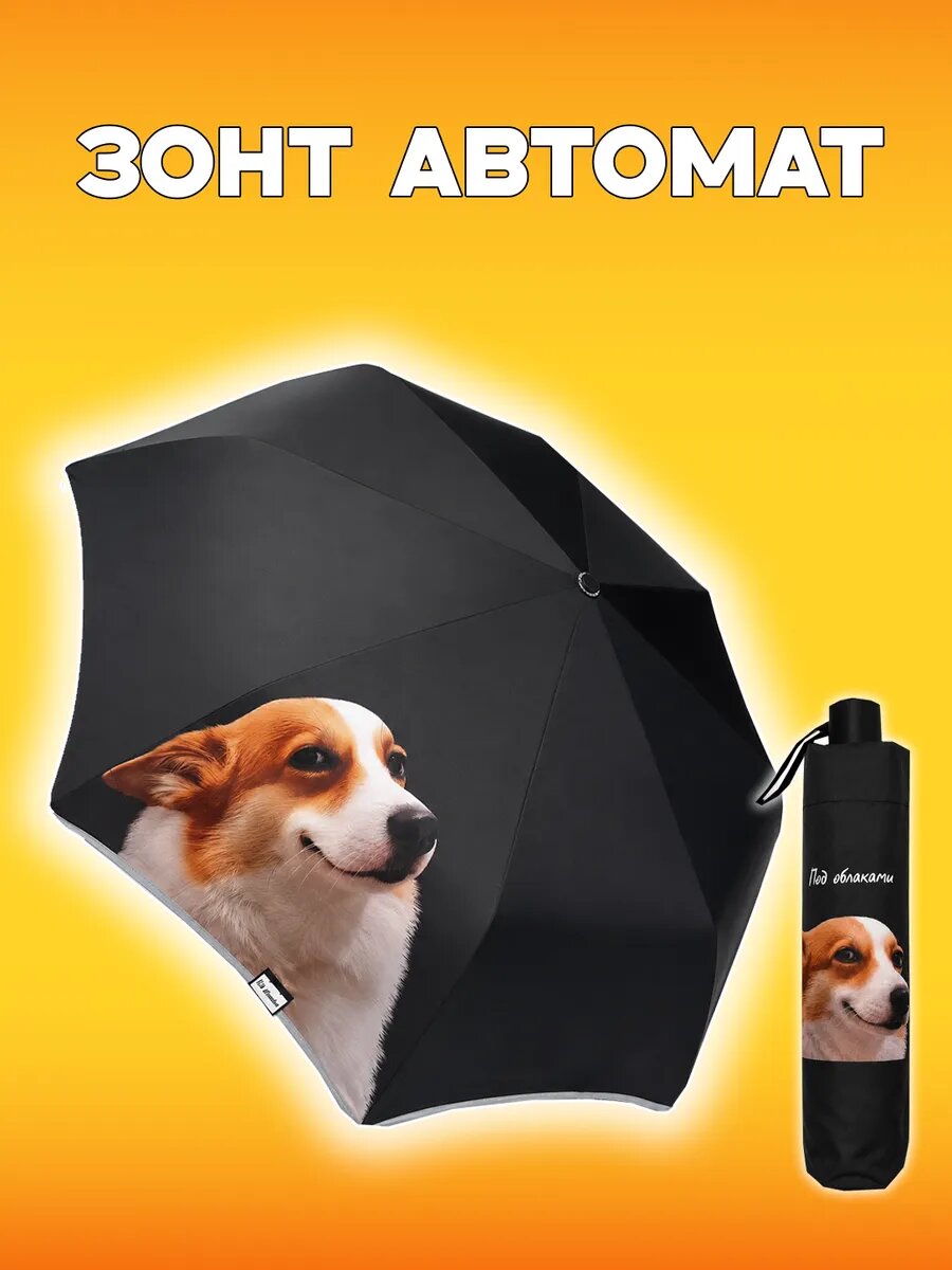 Зонт