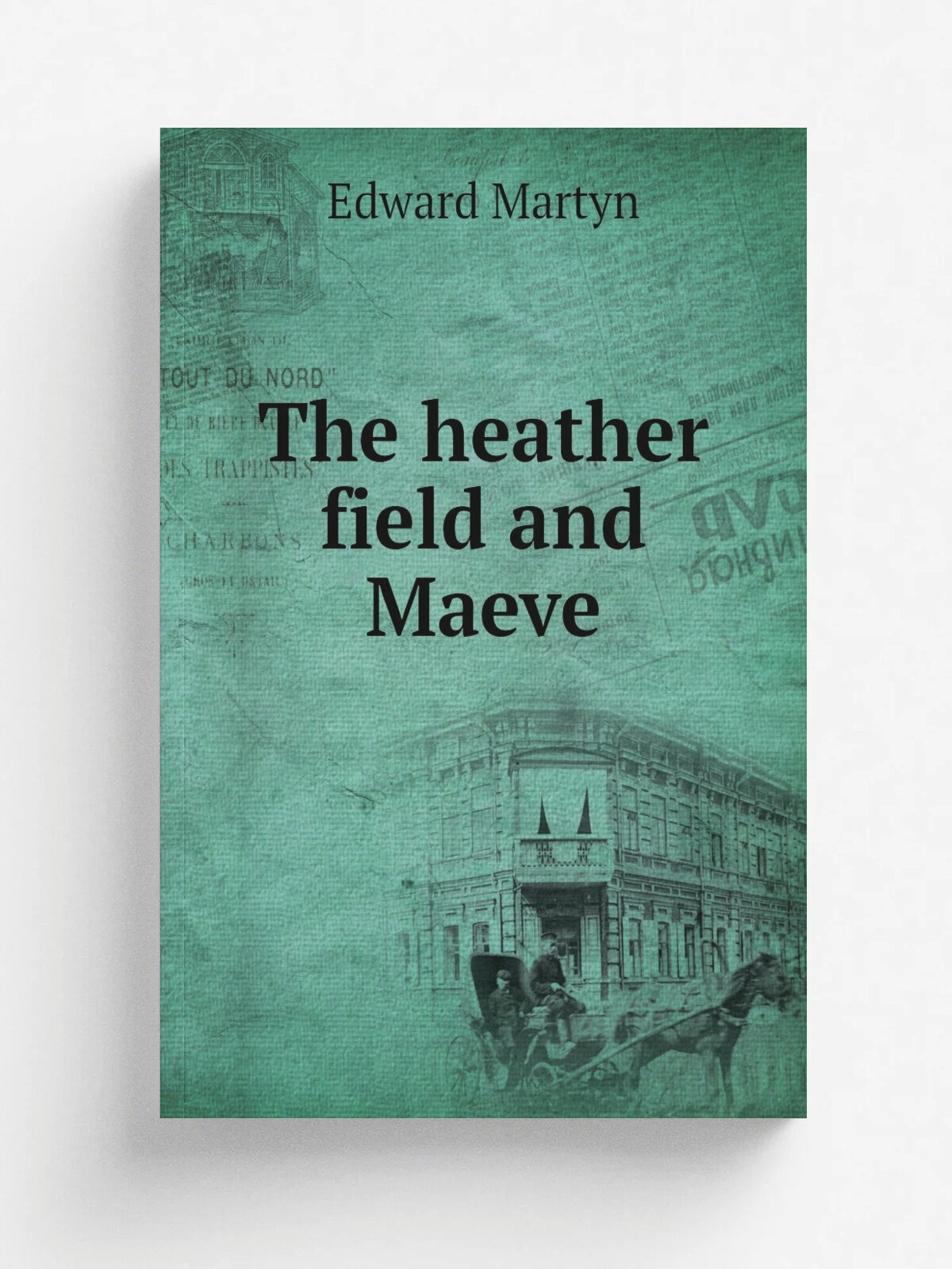 The heather field and Maeve