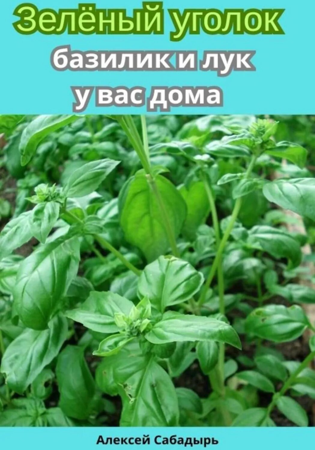 Зелёный уголок базилик и лук у вас дома [Цифровая книга]