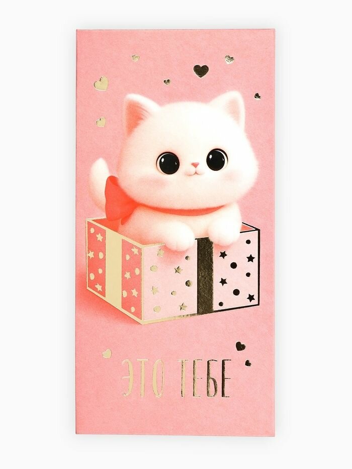 Конверт для денег Это тебе , котик, тиснение, 16.5 8 см