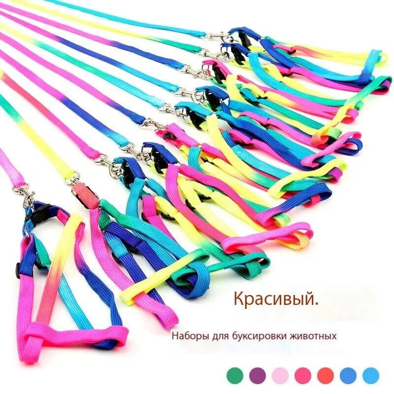 Мягкая кошачья шлейка с поводком для кошек, набор шлейки и поводка, разноцветный