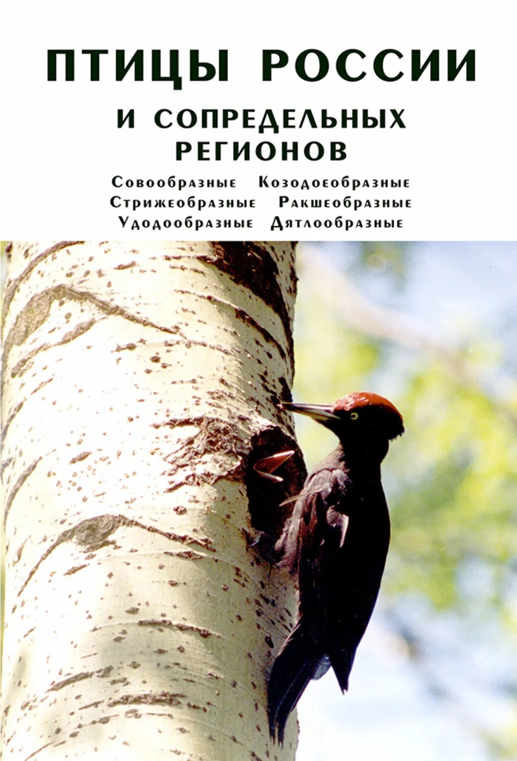 Птицы России и сопредельных регионов. Совообразные, Козодоеобразные, Стрижеобразные, Ракшеобразные, Удодообразные, Дятлообразные [Цифровая книга]