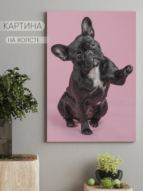 Картина на холсте милая собака Французский бульдог (30) 30х40 см