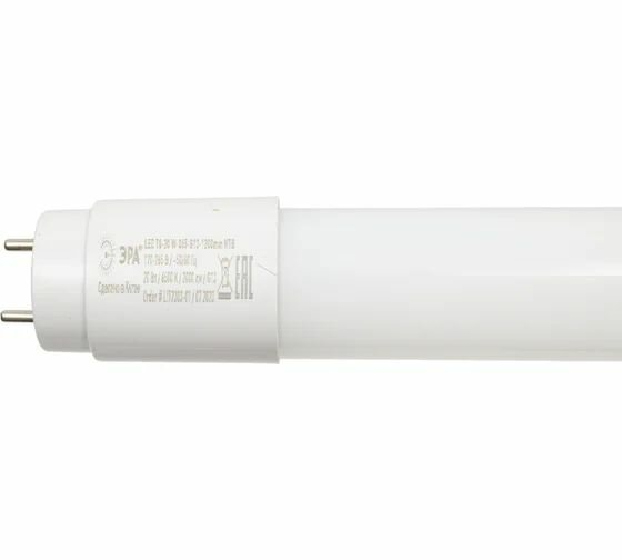 Светодиодная лампа ЭРА red line led g13, 20 Вт, неповоротный, трубка стекло, холодный дневной свет