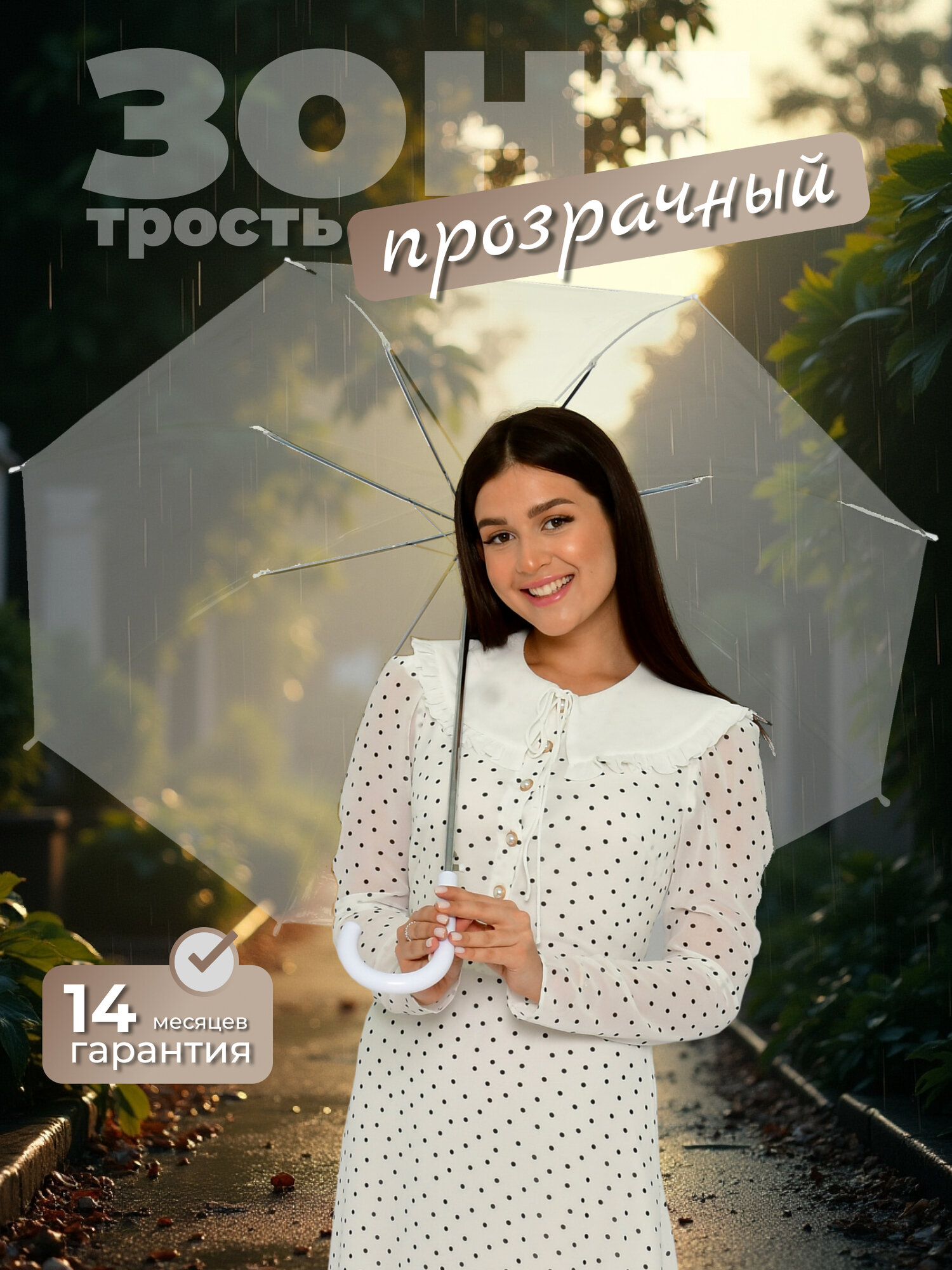 Зонты