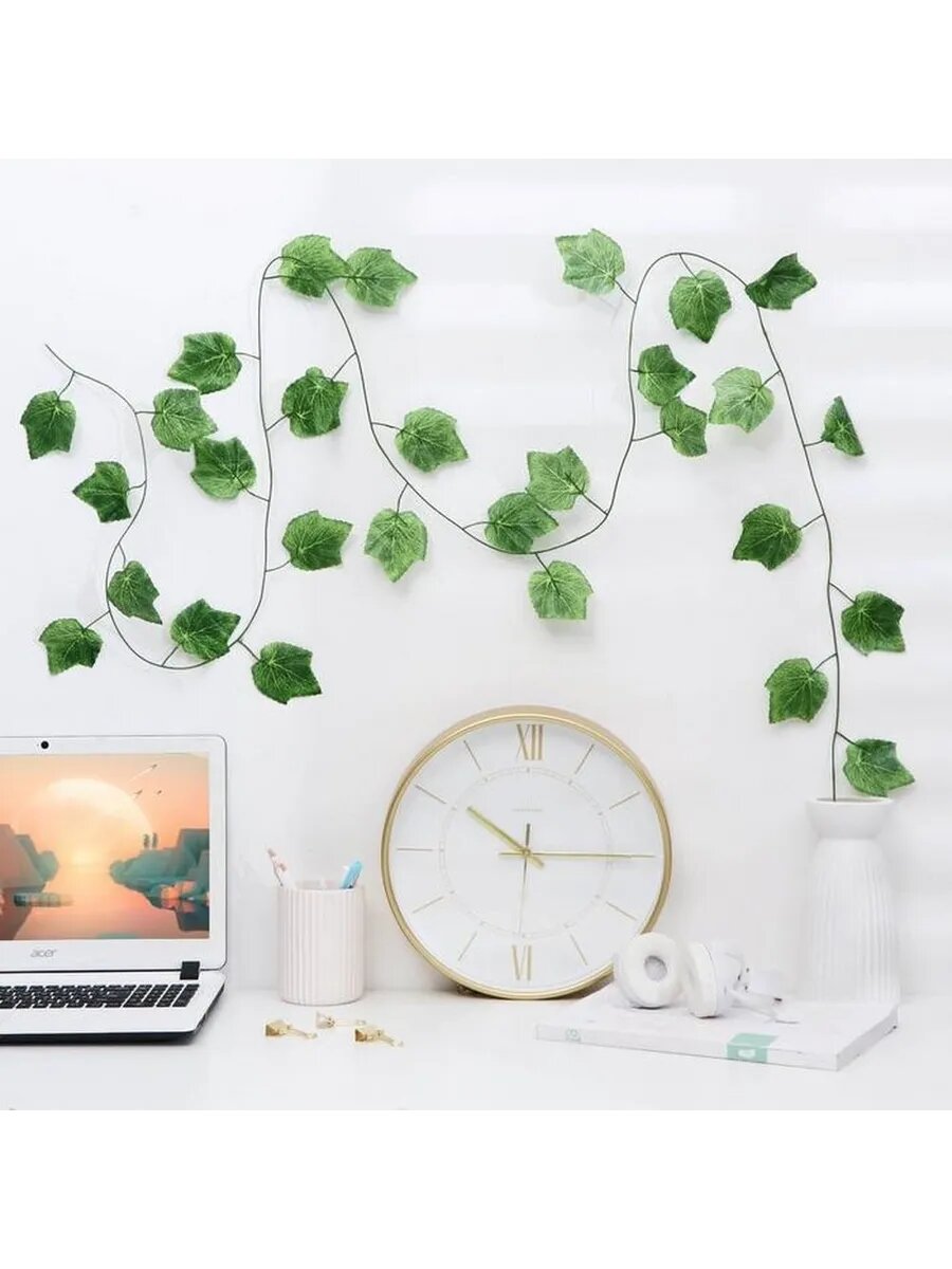 Живая зелень для уюта: лиана "Лист винограда"