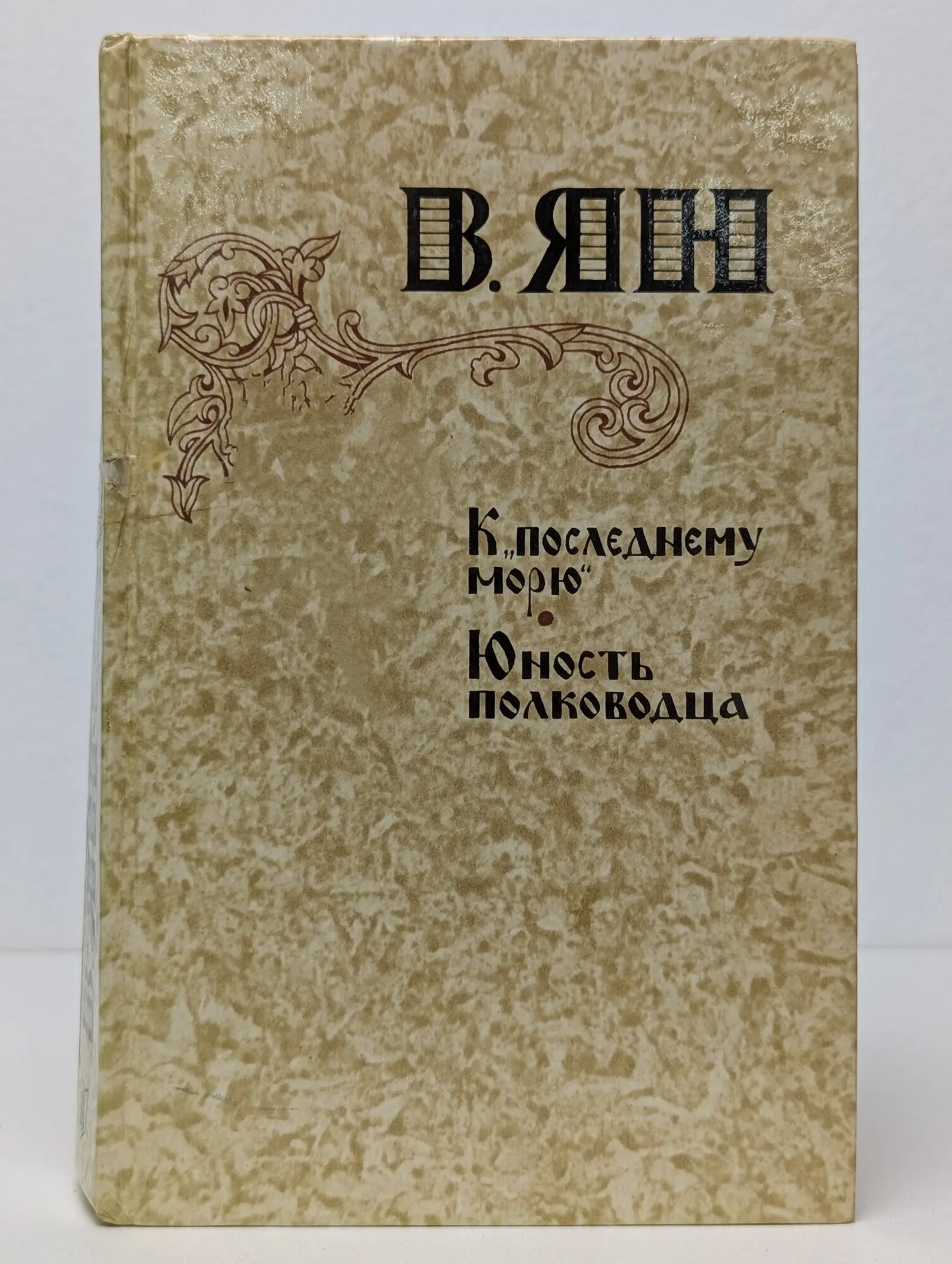 К последнему морю. Юность полководца Ян Василий Григорьевич 1981