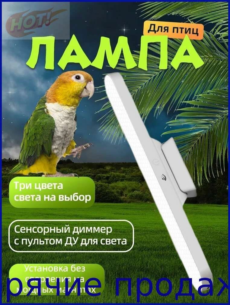 Лампа для птиц с магнитом, регулировкой угла, 3 цветами света (сенсор + ПДУ) Лампа для декоративных птиц