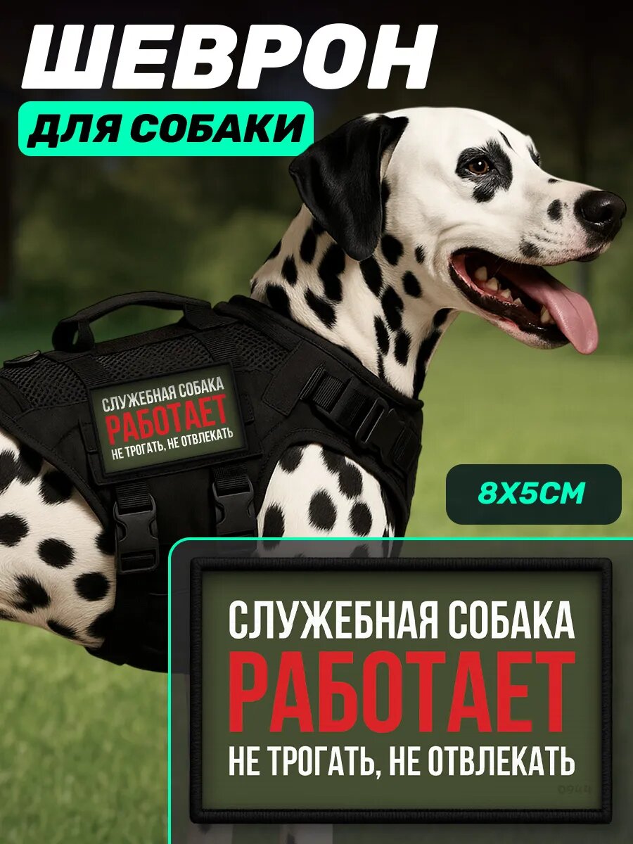 Шеврон на липучке для служебной собаки