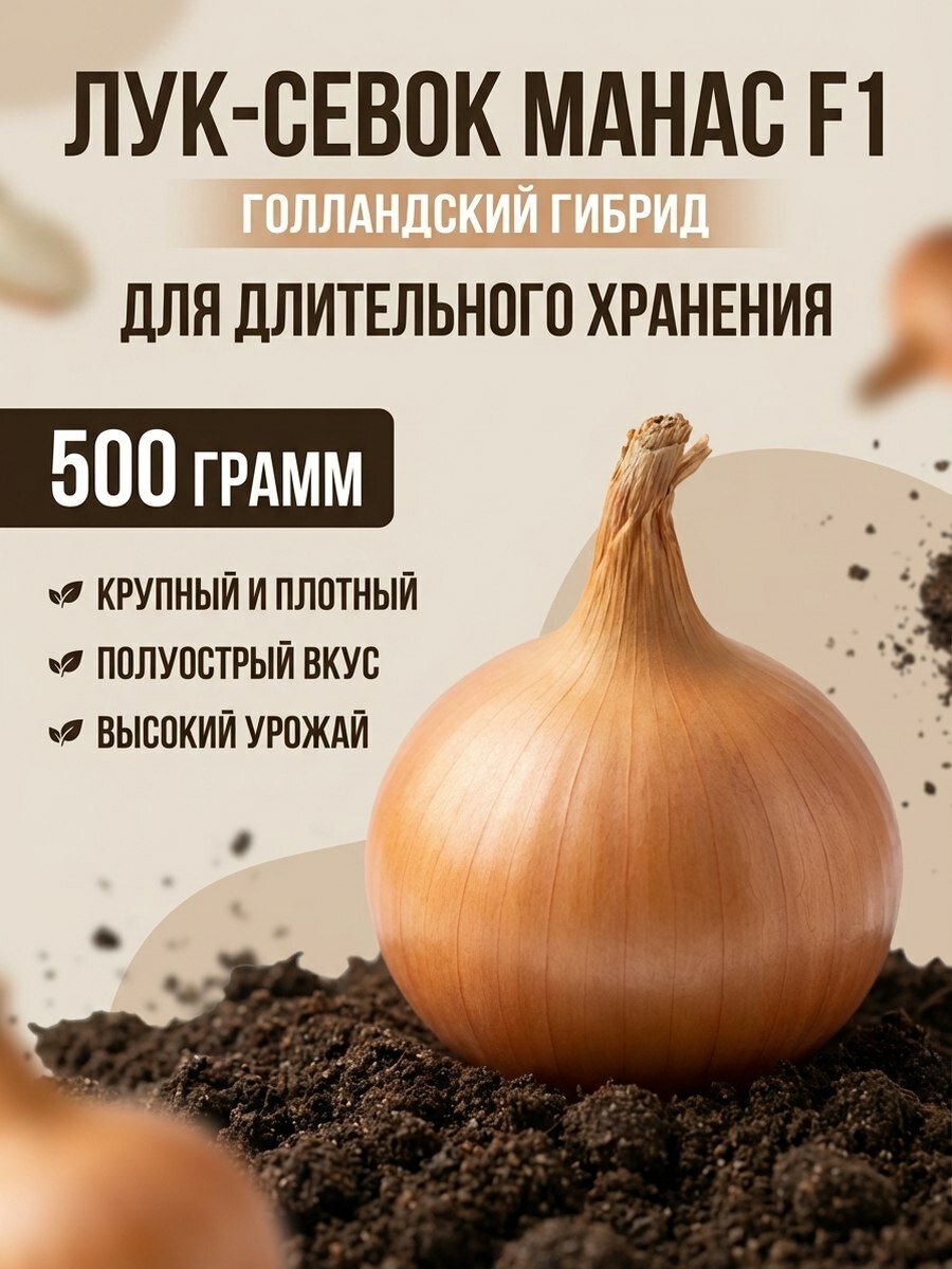 Лук-севок Манас F1 500 г голландский гибрид для длительного хранения / Крупный плотный лук полуострого вкуса / Посадка весной и под зиму / Урожайный сорт из Голландии