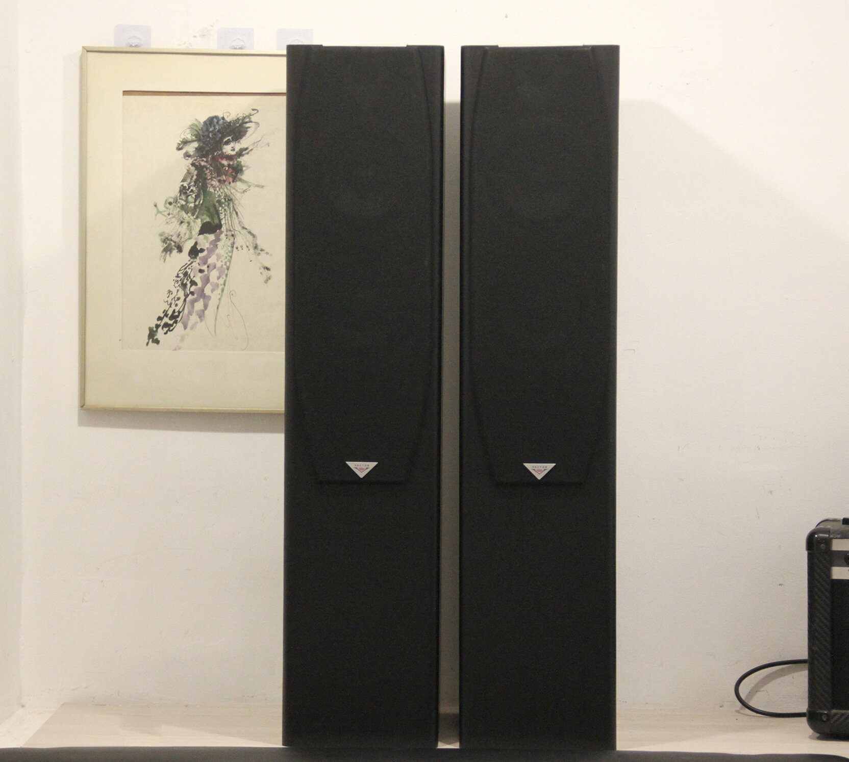 Напольная акустика Vector HX310