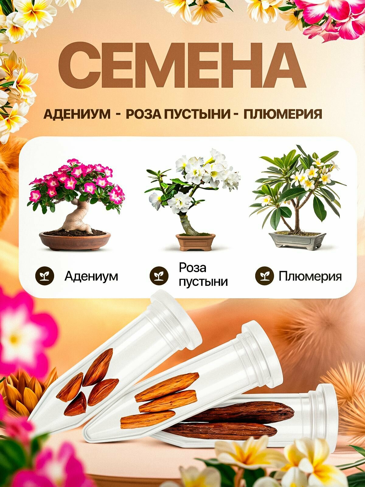 Семена набор Роза Пустыни Адениум Плюмерия 8 шт. Про Растения
