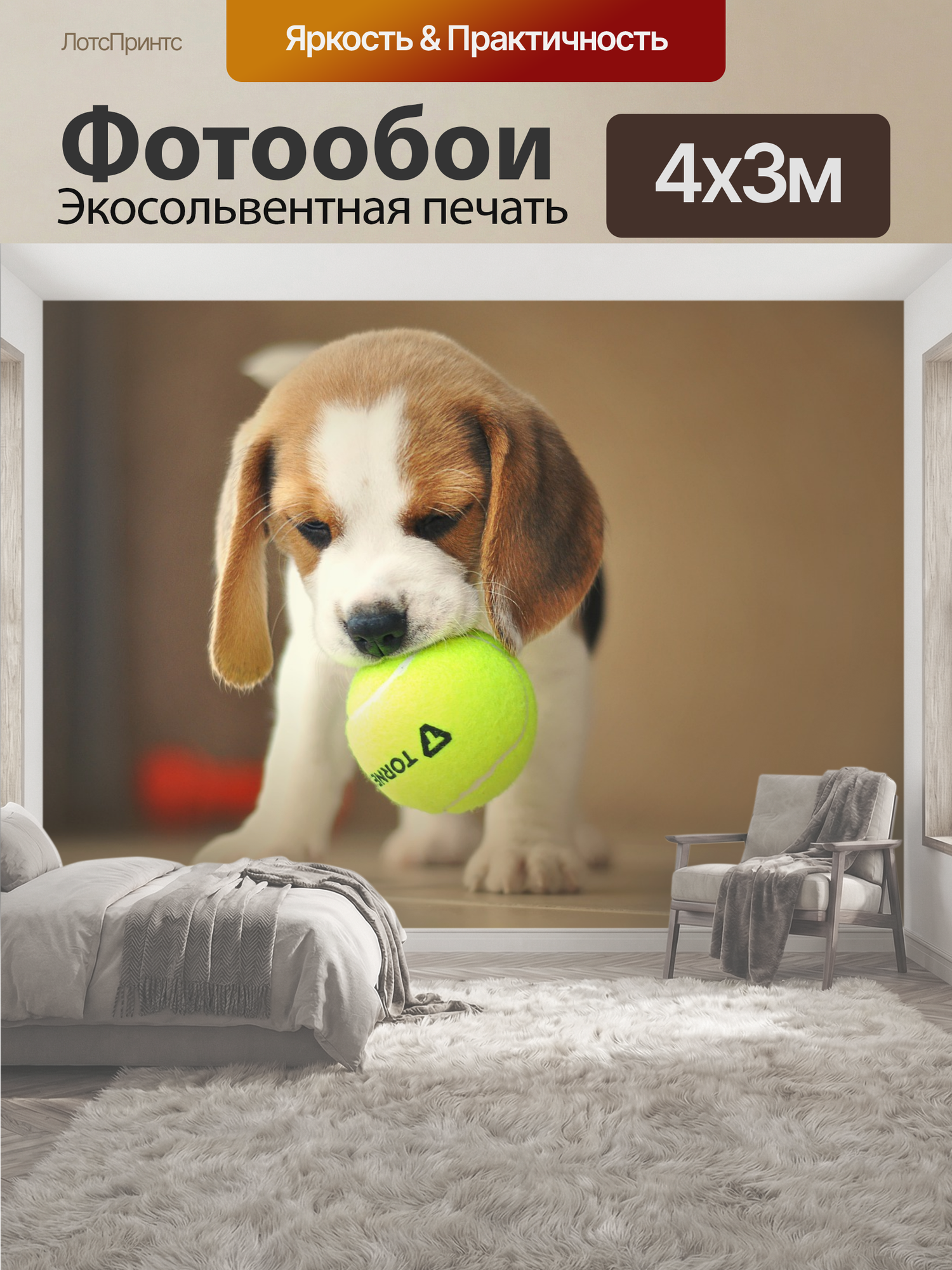 Фотообои "Щенок, собака, бигль" 400x300 см. экосольвентная печать