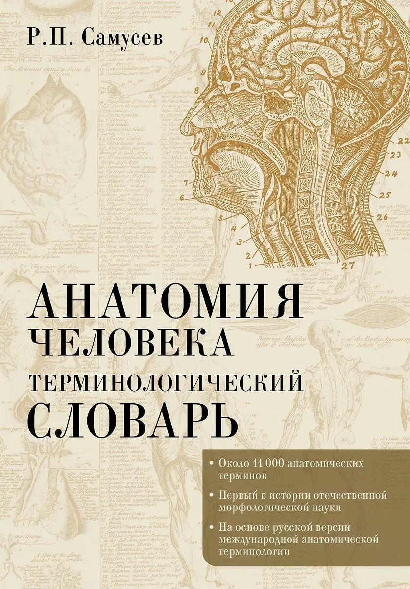 Книга по психологии АСТ "Анатомия человека. Терминологический словарь" Самусев Р. П, 2025 год
