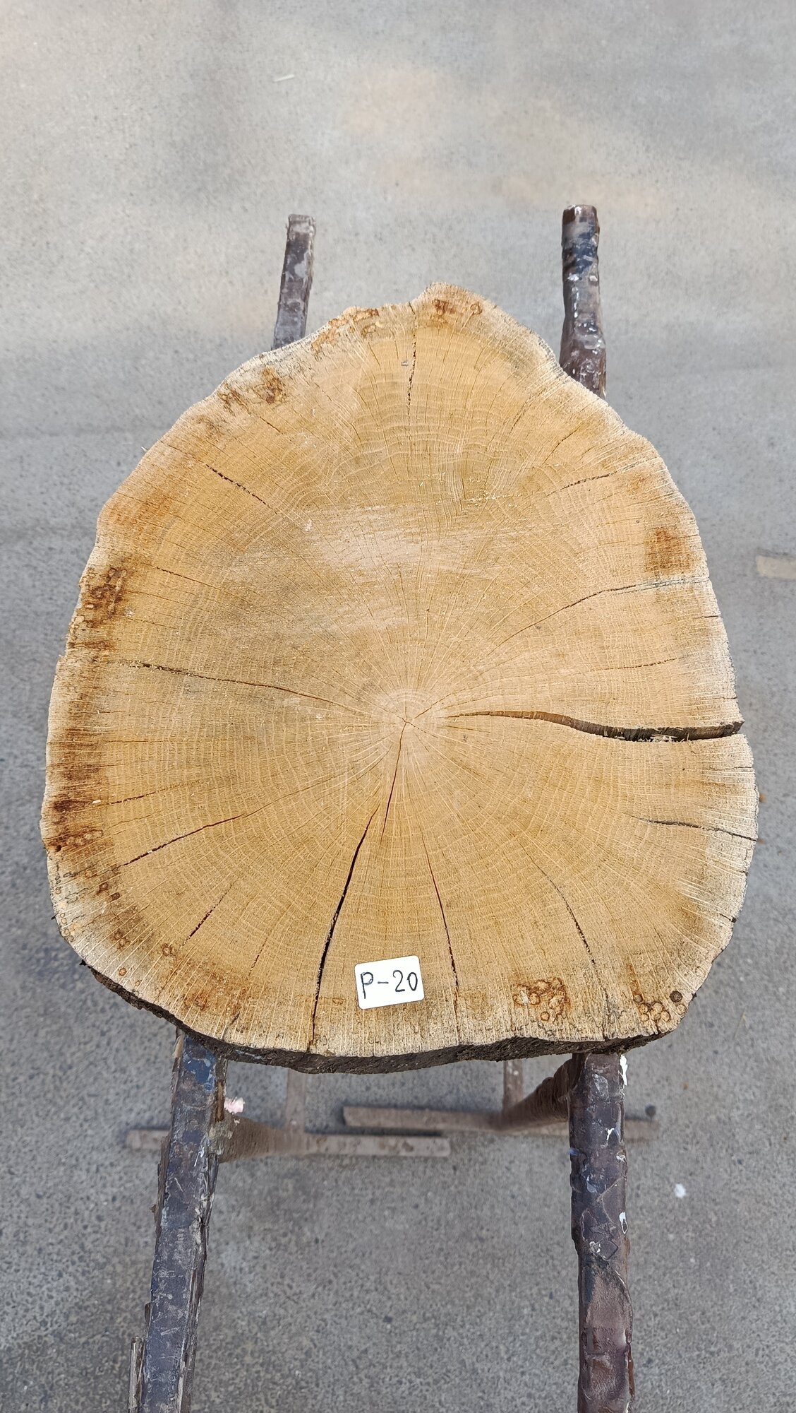 Спил из массива дуба 45х45х7см(Р20) высушенный и не фрезерованный